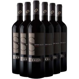 Cantina Coppi Siniscalco Puglia -Paket Primitivo 2020 Trocken - Apulien &ndash; Probierpaket IGP
