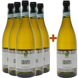 Cascina Faletta 5+1 Paket Primo Bianco Piemonte Chardonnay 2022 Trocken - Piemont &ndash; Probierpaket DOC