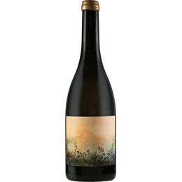Tenuta San Marcello Petricore Marche Verdicchio Bianco 2025 Trocken - Marken &ndash; Wei&szlig;wein IGP