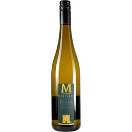 Weingut Medinger Terra Riesling 2023 Feinherb - W&uuml;rttemberg &ndash; Wei&szlig;wein Qualit&auml;tswein