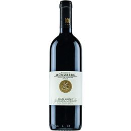 Weingut M&uuml;nzberg Weingut M&uuml;nzberg Cuv&eacute;e Gustav 2020 Trocken - Pfalz &ndash; Rotwein Qualit&auml;tswein