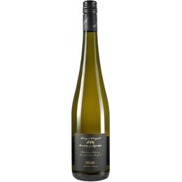 Weingut Wissgott Riesling 2022 Trocken - Rheinhessen &ndash; Wei&szlig;wein Qualit&auml;tswein