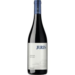 weingut juris Pinot noir Blauer Sp&auml;tburgunder 2021 Trocken - Ried Haide Burgenland &ndash; Rotwein Qualit&auml;tswein