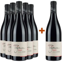 Domaine Olivier P&eacute;zenneau 5+1 Paket Brouilly Gamay 2022 Trocken - Beaujolais &ndash; Probierpaket AOP