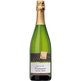 Wein & Hof H&uuml;gelheim Wein & Hof H&uuml;gelheim Baden Cremant brut 1,5 L Brut - &ndash; Perl- Schaumwein Sekt