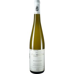 Weingut Schl&ouml;der-Thielen Mehringer Zellerberg, Riesling 2022 Lieblich - Mosel &ndash; Wei&szlig;wein Kabinett