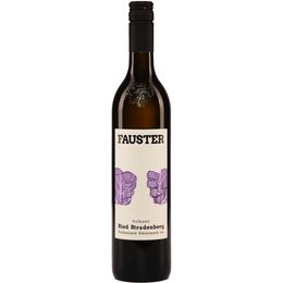 Weinhof Fauster Vulkanit Chardonnay 2019 Trocken - Ried Stradenberg Vulkanland Steiermark DAC &ndash; Wei&szlig;wein Qualit&auml;tswein