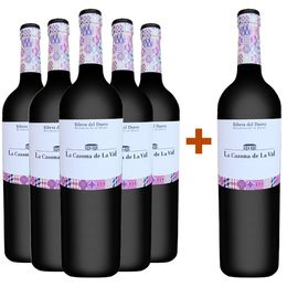 La Casona de la Vid Pack Descuento 5+1 Crianza Ribera del Duero DO Tempranillo 2020 Trocken - Kastilien und Le&oacute;n &ndash; Probierpaket DOP