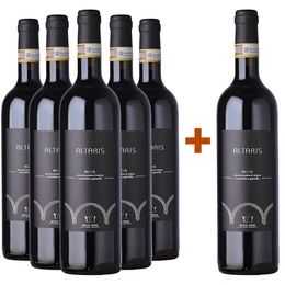 Bogge Wine 5+1 Paket Altaris Nizza Barbera 2020 Trocken - Piemont &ndash; Probierpaket DOCG