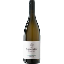 Weingut Hanauer Hof Erde & Stein Gr&uuml;ner Veltliner 2021 - Wagram &ndash; Wei&szlig;wein &Ouml;sterreichischer Wein