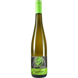 BioWeingut Beck-Winter Sauvignac 2023 Trocken - Mosel &ndash; Wei&szlig;wein Qualit&auml;tswein
