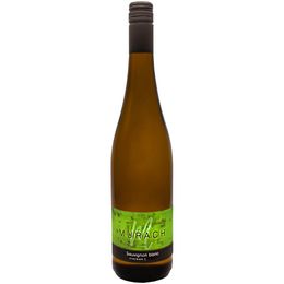 Weingut Murach Sauvignon Blanc 2024 Feinherb - Rheinhessen &ndash; Wei&szlig;wein Qualit&auml;tswein