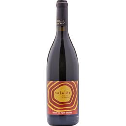 Pian delle Vette Sacolet Rosso Merlot 2021 Trocken - Festisei Venetien &ndash; Rotwein Vino Generico