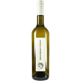 Weinbau Egon Frank Sauvignon Blanc 2024 Trocken - Baden &ndash; Wei&szlig;wein Badischer Landwein