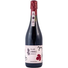 Folicello L'Amabile di Castelvetro Lambrusco Grasparossa 2024 Halbtrocken - Castelfranco Emilia Romagna &ndash; Perl- & Schaumwein DOC