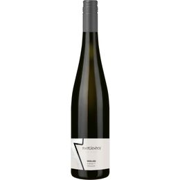 Weingut Amalienhof Riesling 2024 Trocken - Beilsteiner Steinberg Württemberg – Weißwein Kabinett