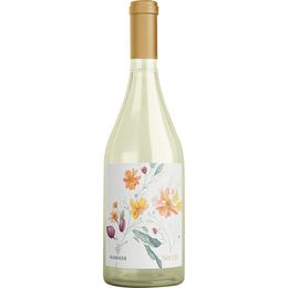 Weingut H. Krayer Secco Cuv&eacute;e 2024 Trocken - Rheingau &ndash; Perl- & Schaumwein Perlwein