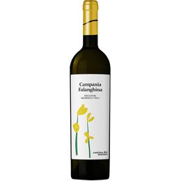 Cantina dei Monaci Campania Falanghina 2022 Trocken - Kampanien &ndash; Wei&szlig;wein IGP