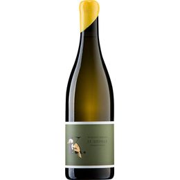 Weingut Kneisel ST. STEPHAN Chardonnay 2019 Trocken - Benn Pfalz – Weißwein Qualitätswein