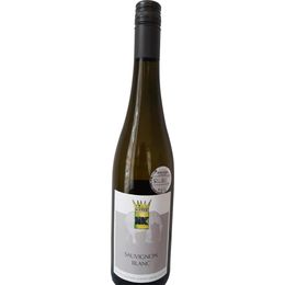Weingut H&auml;rle-Kerth Weingut H&auml;rle-Kerth -Kathrin Sophie Kerth- Sauvignon Blanc 2024 Trocken - Mu&szlig;bacher Eselshaut Pfalz &ndash; Wei&szlig;wein Qualit&auml;tswein