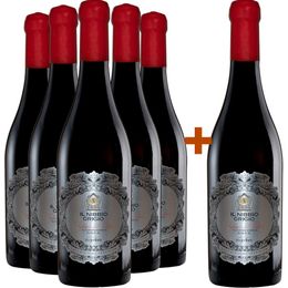Agricola Strapellum 5+1 Paket Il Nibbio Grigio Riserva del Vulture Superiore Aglianico 2017 - Basilikata &ndash; Probierpaket DOCG