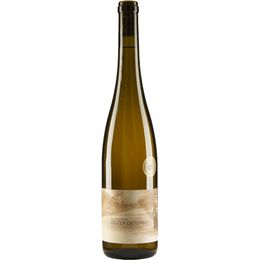 Weingut B&uuml;rgermeister Adam Schmitt Weingut B&uuml;rgermeister Adam Schmitt Selzer Riesling 2015 Lieblich - Rheinhessen &ndash; Wei&szlig;wein Sp&auml;tlese