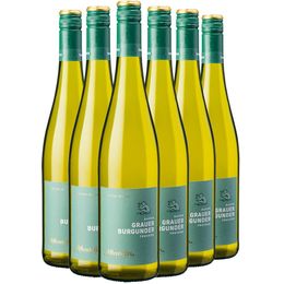Affentaler Winzer Grauer Burgunder MEISTER:WERK Grauburgunder 2024 Trocken - Baden &ndash; Probierpaket Qualit&auml;tswein