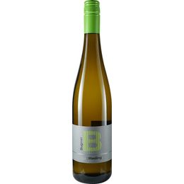 Weingut Bugner Riesling 2022 Trocken - Rheinhessen &ndash; Wei&szlig;wein Qualit&auml;tswein