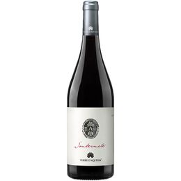 Terre d'Aquesia Santermete Lazio Cuv&eacute;e 2019 Trocken - Latium &ndash; Rotwein IGP