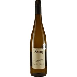 Weingut Antony Edition "Sebastian" Bacchus 2023 S&uuml;&szlig; - Rheinhessen &ndash; Wei&szlig;wein Qualit&auml;tswein