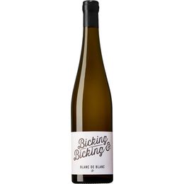 Weingut Bicking und Bicking Weingut Bicking und Blanc de 2021 Trocken - Nahe &ndash; Wei&szlig;wein Qualit&auml;tswein
