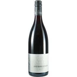 Weingut Schmitzer-Julier Eschbach Sp&auml;tburgunder Blauer 2024 Trocken - Pfalz &ndash; Rotwein Qualit&auml;tswein