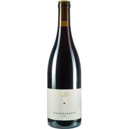 Weingut J&uuml;rgen Heu&szlig;ler Sp&auml;tburgunder 2020 Trocken - Rhodter Rosengarten Pfalz &ndash; Rotwein Qualit&auml;tswein