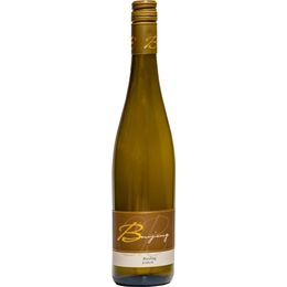 Weingut Boujong Riesling 2022 Feinherb - Mosel &ndash; Wei&szlig;wein Kabinett