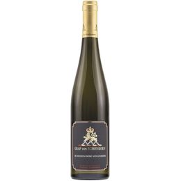 Dom&auml;nenweingut Schloss Sch&ouml;nborn R&uuml;desheim Berg Schlossberg Premium Riesling 2020 Trocken - Rheingau &ndash; Wei&szlig;wein Qualit&auml;tswein