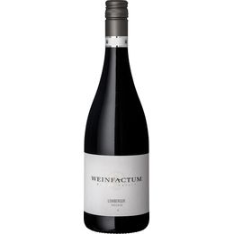 Weinfactum ** Lemberger 2023 Trocken - W&uuml;rttemberg &ndash; Rotwein Deutscher Wein