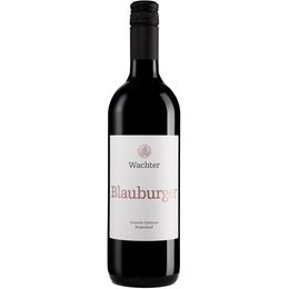 Wachter Wein Blauburger 2022 Halbtrocken - Burgenland &ndash; Rotwein Qualit&auml;tswein