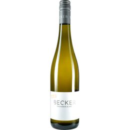 Sabrina Becker Weine Alkoholfrei! Sauvignon Blanc - Rheinhessen &ndash; Sonstiges Entalkoholisierter Wein