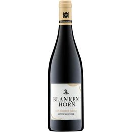 Weingut Blankenhorn Pinot Noir VDP.ERSTE LAGE&reg; Sp&auml;tburgunder 2021 Trocken - Schliengener &Ouml;lacker Baden &ndash; Rotwein Qualit&auml;tswein