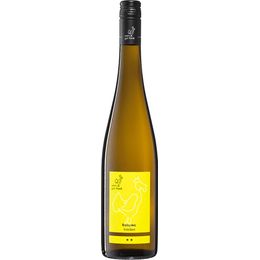 Wein & Gut Frank wein & gut frank ** Riesling 2021 Trocken - Cleebronner Michaelsberg W&uuml;rttemberg &ndash; Wei&szlig;wein Qualit&auml;tswein