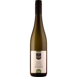 Weingut Reuscher-Haart Riesel Mosling Riesling 2022 Trocken - Steillage Mosel – Weißwein Qualitätswein