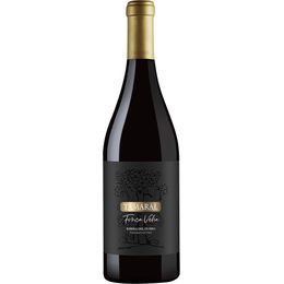 Bodegas Tamaral Finca Velia D.O. Ribera del Duero Tempranillo 2021 Trocken - Kastilien und Le&oacute;n &ndash; Rotwein DOP