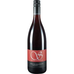 Weingut Schneiderfritz Sp&auml;tburgunder 2020 Trocken - Pfalz &ndash; Rotwein Qualit&auml;tswein