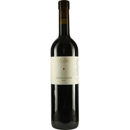 Weingut J&uuml;rgen Heu&szlig;ler Dornfelder 2021 Trocken - Pfalz &ndash; Rotwein Qualit&auml;tswein