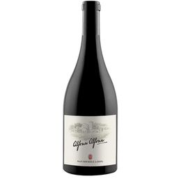 San Michele a Ripa Alfonso Alfonzi Marche Cuv&eacute;e 2015 Trocken - Marken &ndash; Rotwein IGP