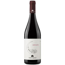 Terre d'Aquesia Contaluna Lazio Ciliegiolo 2019 Trocken - Latium &ndash; Rotwein IGP