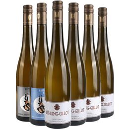 Weingut Battenfeld-Spanier & K&uuml;hling-Gillot Kennenlern-Paket BIO Trocken - Rheinhessen &ndash; Probierpaket VDP.Gutswein