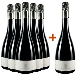 Iura et Arma 5+1 Paket Armalike Cuv&eacute;e Brut - Latium &ndash; Probierpaket Vino Generico