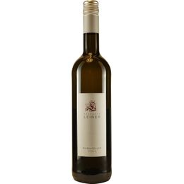 Rebenhof Leiner Muskateller 2023 Trocken - Ilbesheimer Rittersberg Pfalz &ndash; Wei&szlig;wein Qualit&auml;tswein