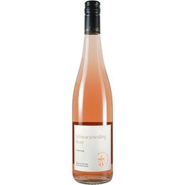 Weingut Sans-Lorch Schwarzriesling 2023 Feinherb - Rheinhessen – Rosé Qualitätswein